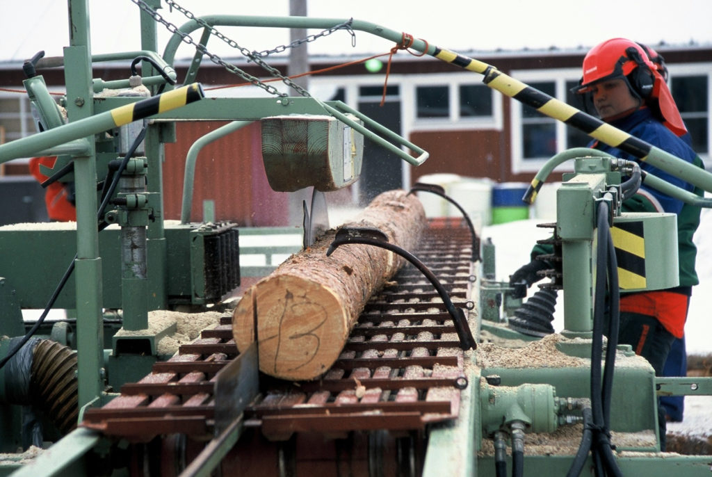 Young people in forest sector believe in its future - Forest.fi