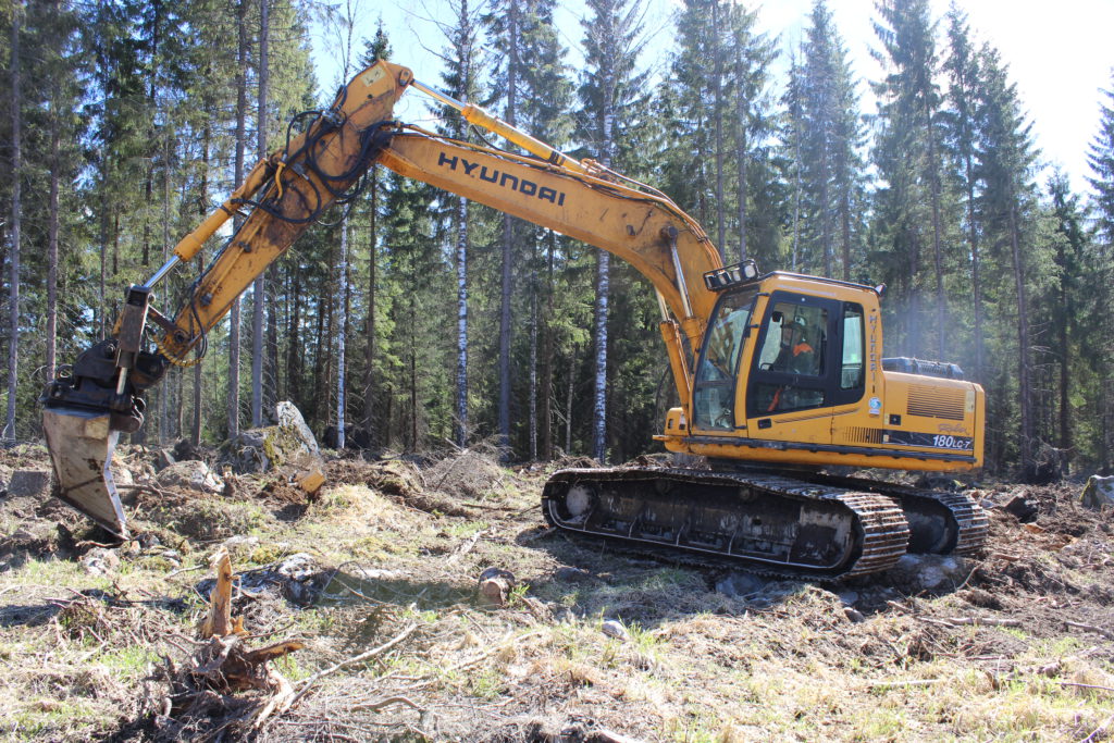 Nine development leaps of Finnish forestry - Forest.fi