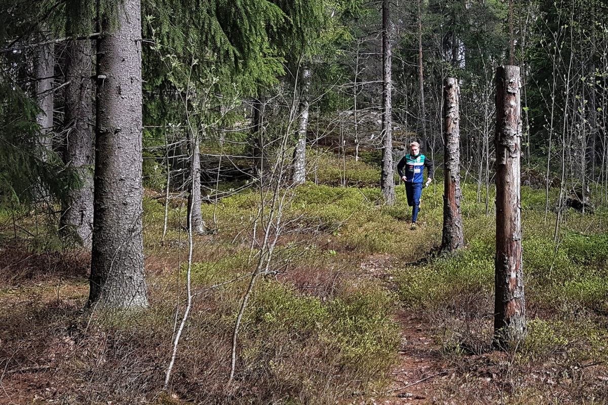 Forest biodiversity is supported by leaving hundreds of high stumps ...