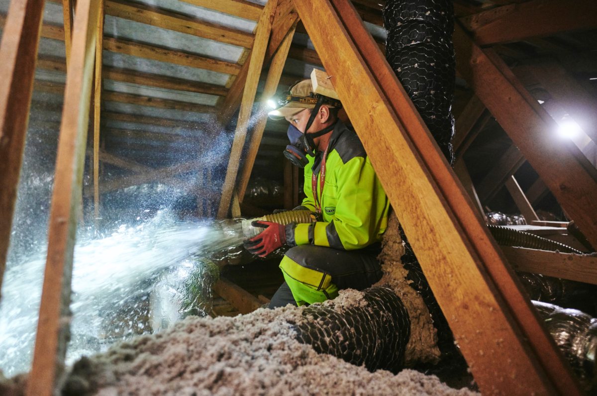 Wood-based insulation material is made of recycled fibre and lingonberry - Forest.fi