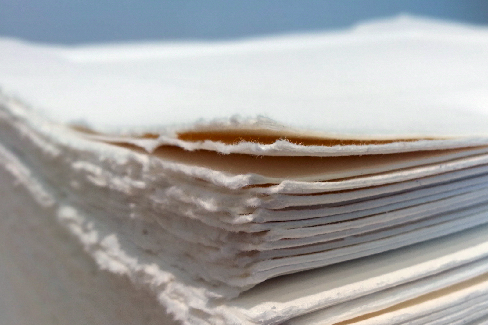 8 claims on Nordic forestry – as to biodiversity and climate change ...