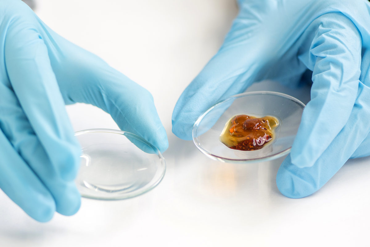 Willow bark and birch nanocellulose are combined to make packaging film ...