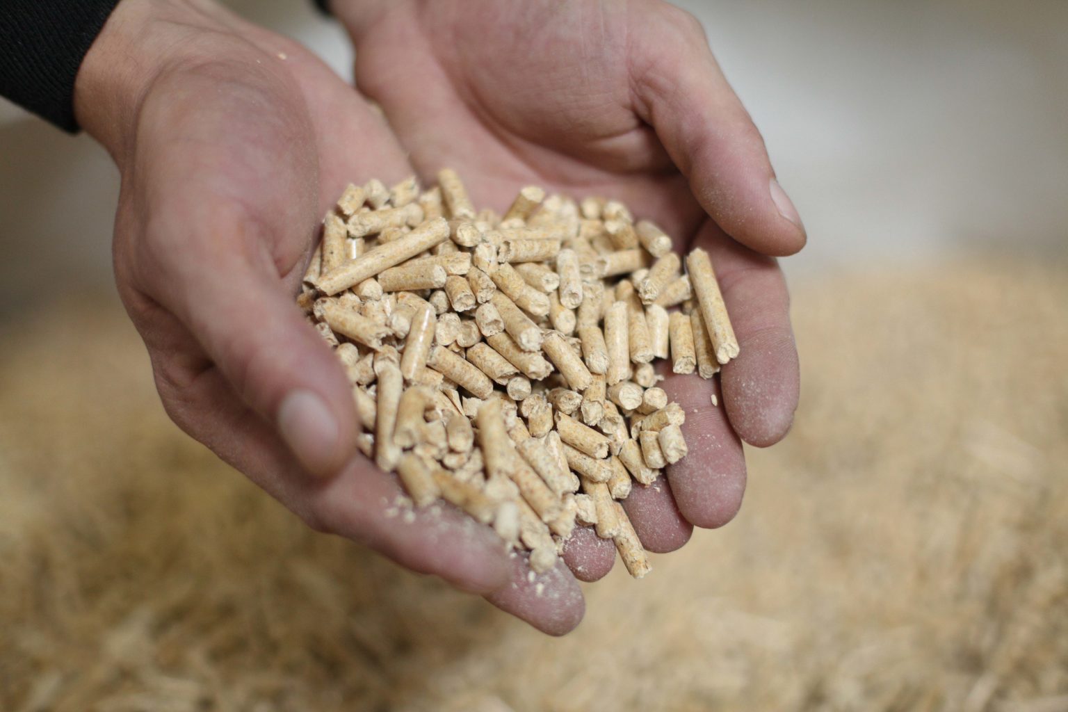 Do you know these six products? They are all made from forest industry ...