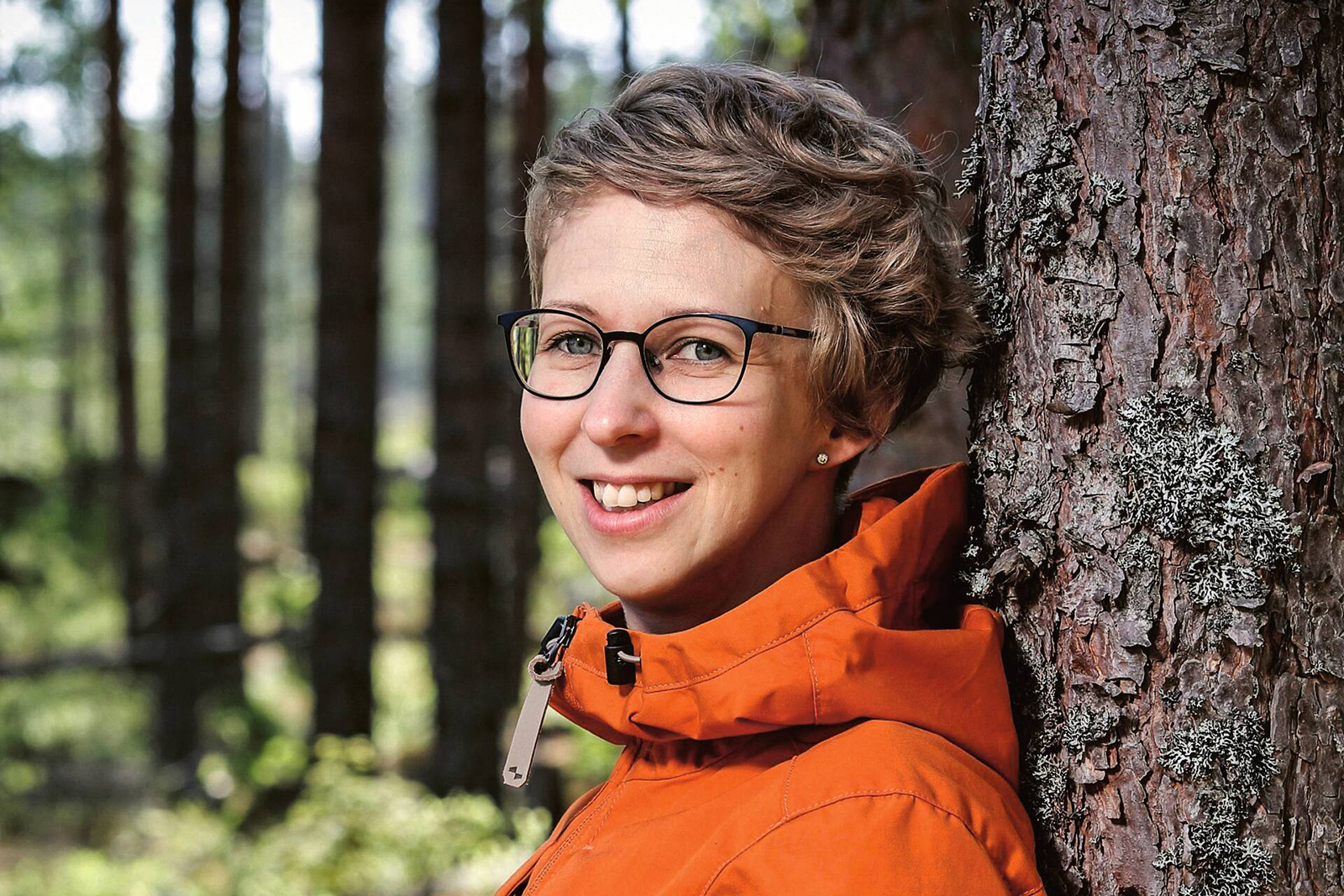 Kirjoittaja on maa- ja metsätieteiden tohtori ja metsänhoitopäällikkö ...