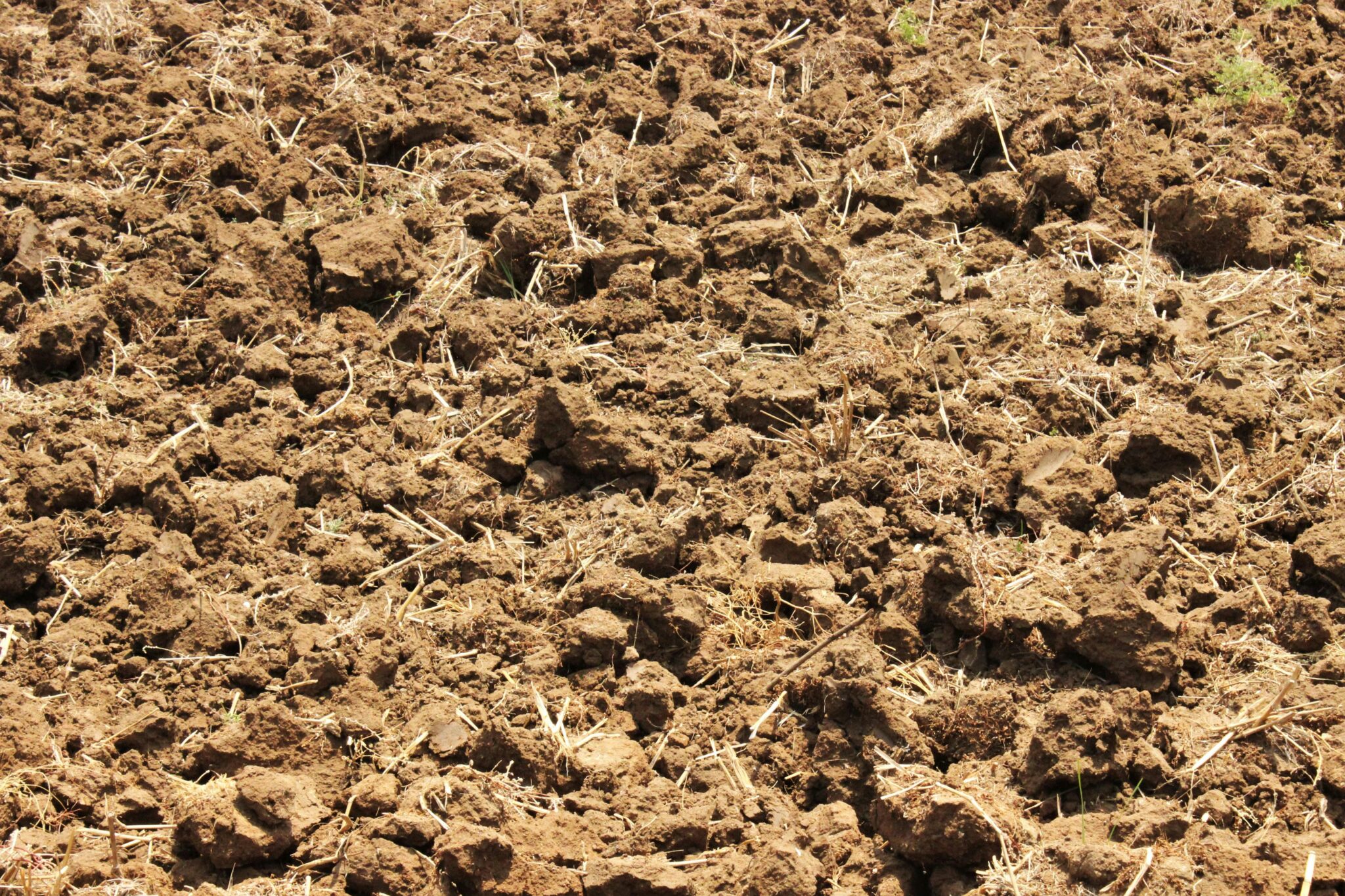 The areas most affected by soil degradation are the ones where long ...